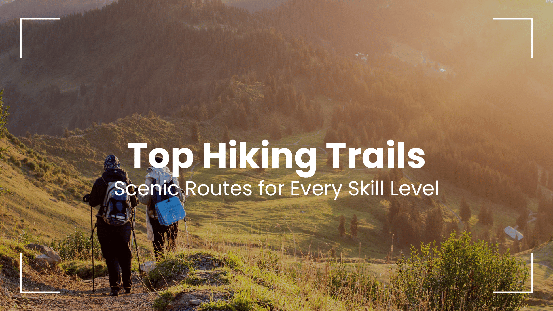 Best Hiking Trails: Scenic Routes for Every Skill Level - We Hike to Heal