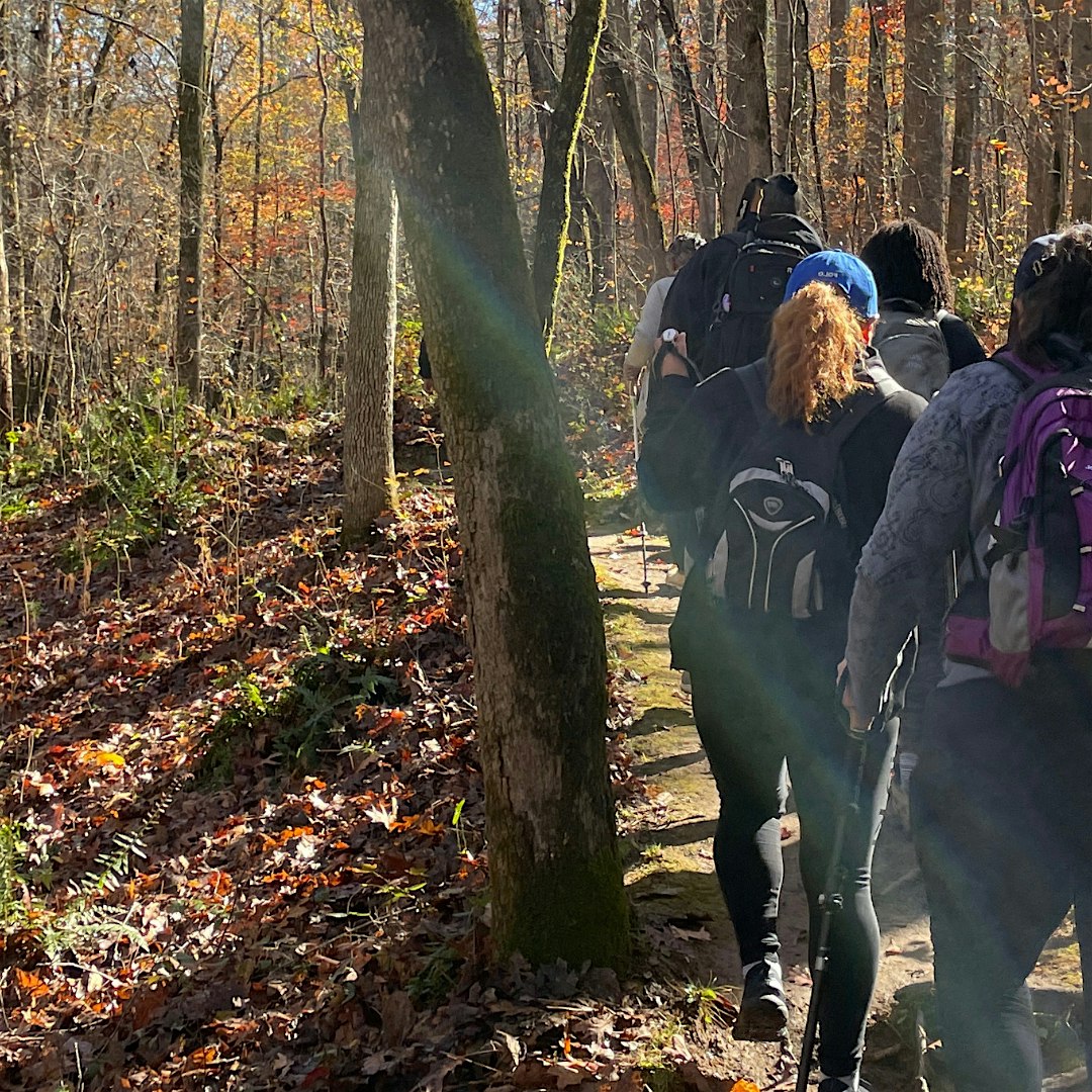 We Hike To Heal- Free Women's Meditative Walk - We Hike to Heal